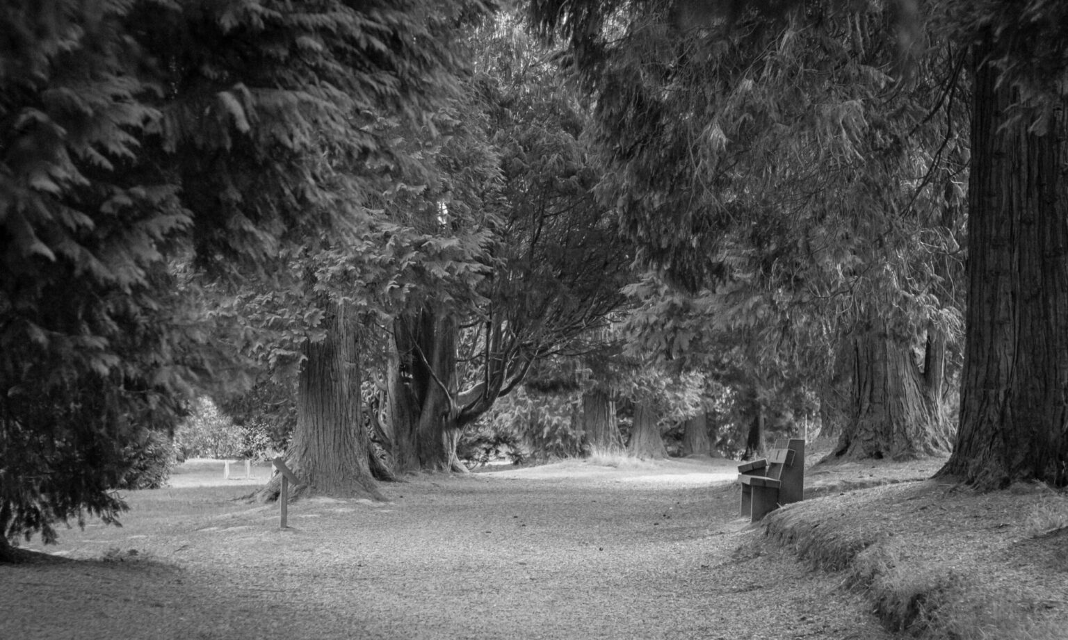 Goudhurst Village Map - Goudhurst Parish Council